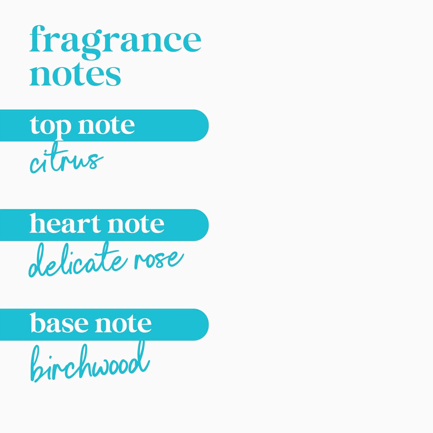 Dove Body Wash with Pump - Anti-Bacterial, 30.6 fl. oz. – Blitzstock